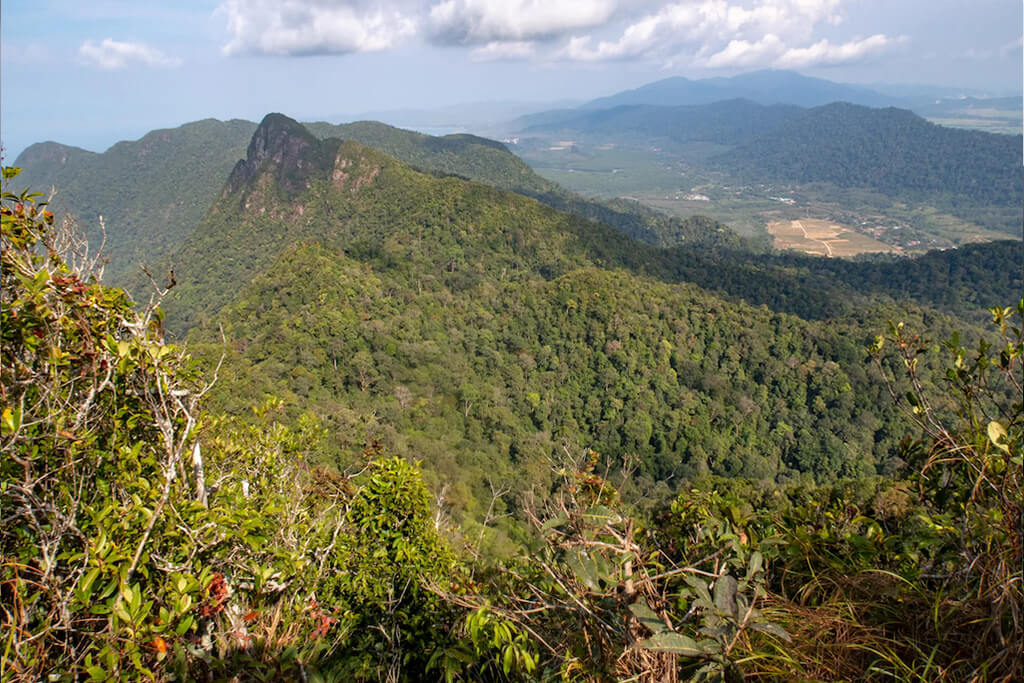 Machinchang Cambrian Geoforest Park – Naturally Langkawi